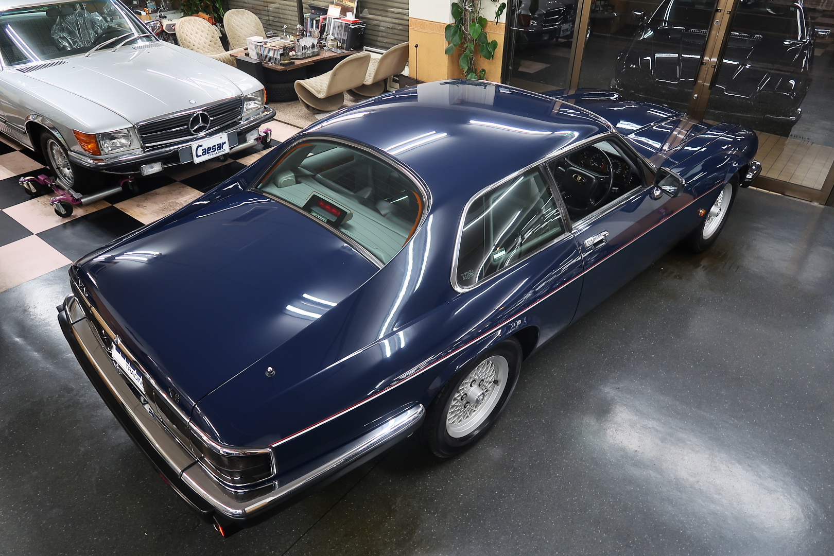 「一時預かり人」募集～