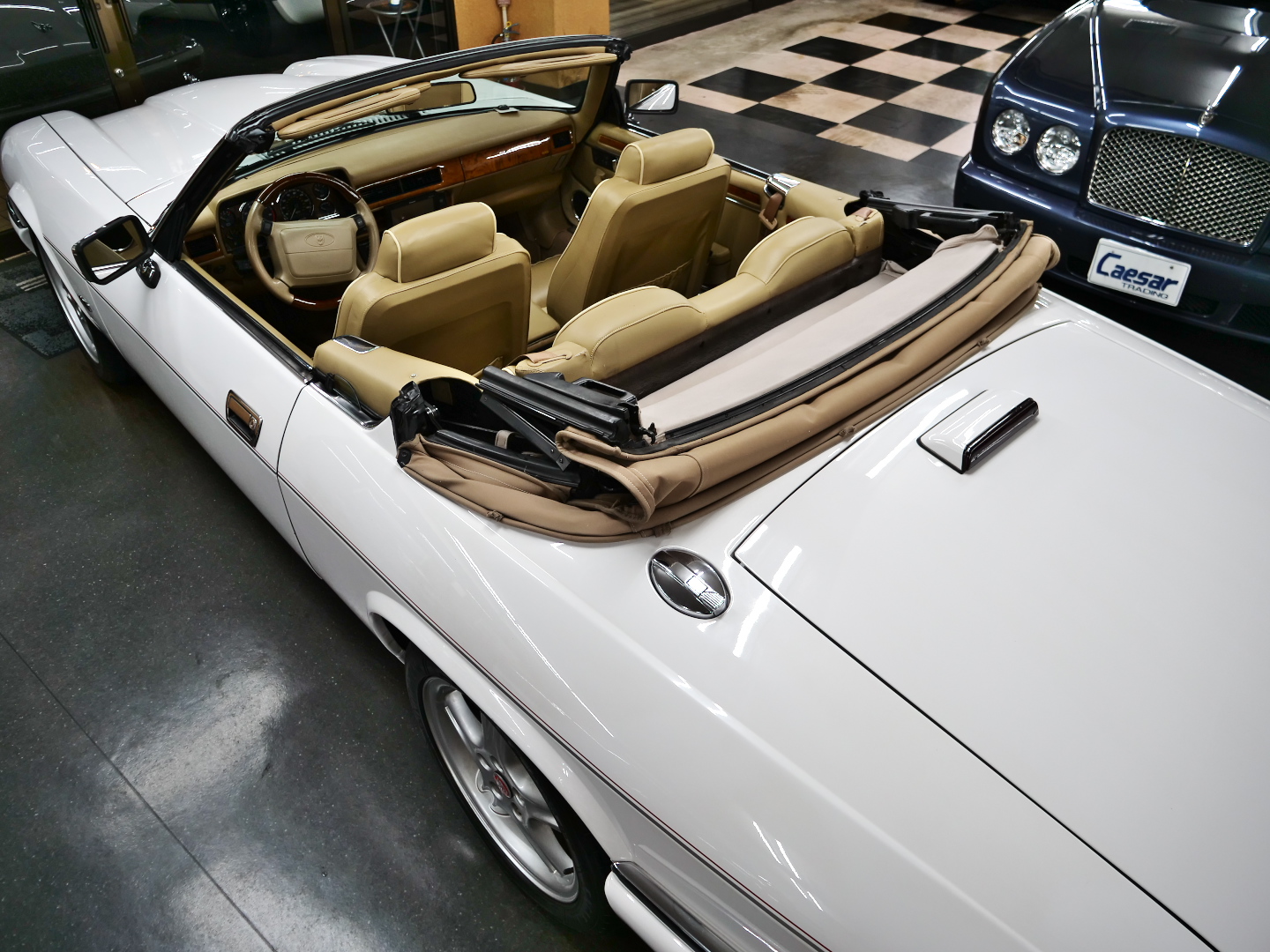 www caesar co jp 中 の ブログ 欄 クリック で ブログ 内 検察 欄 に 95 xjs コン バ で