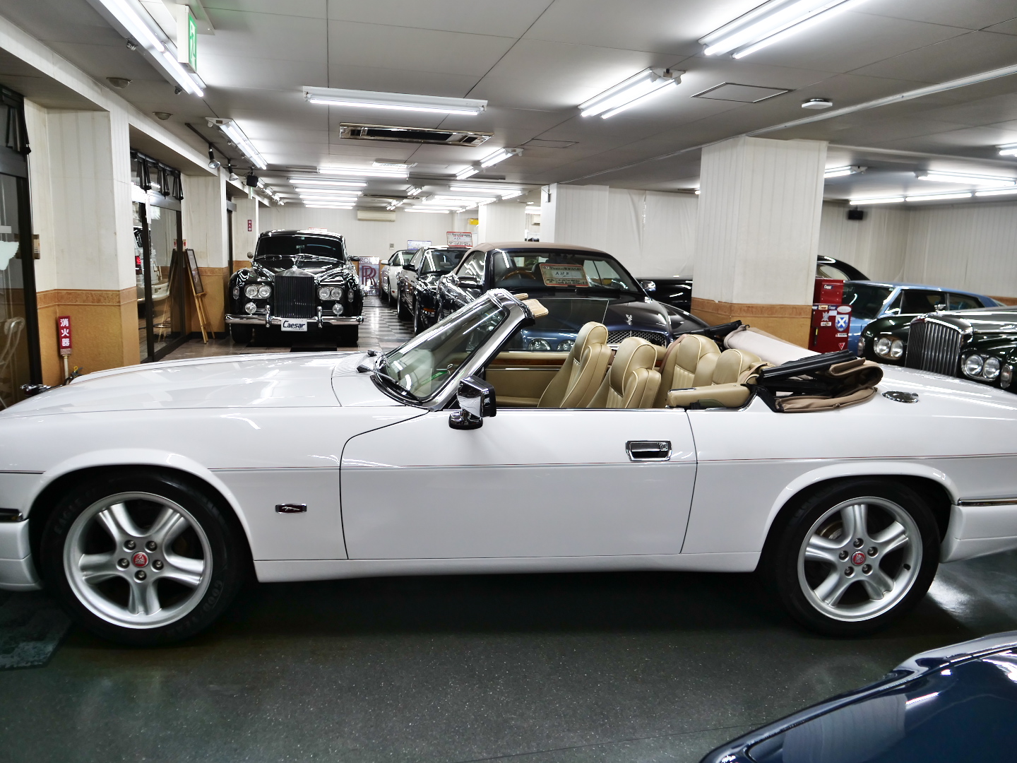 www caesar co jp 中 の ブログ 欄 クリック で ブログ 内 検察 欄 に 95 xjs コン バ で