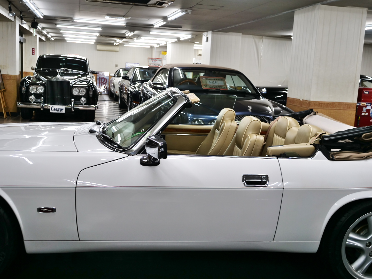 www caesar co jp 中 の ブログ 欄 クリック で ブログ 内 検察 欄 に 95 xjs コン バ で